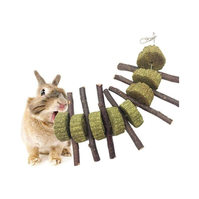 Living Their Best Life - Small Animal Enrichment – Hearty Pet